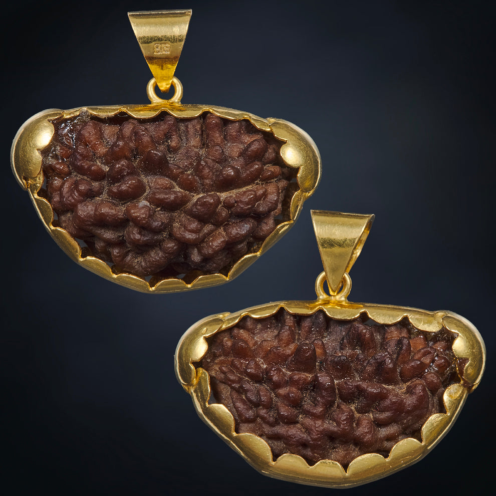 1 Face Rudraksha (Java) – OOBThaiAmulets